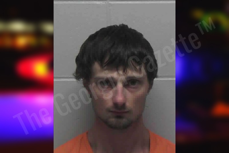 David Steiger — Laurens County Jail Bookings