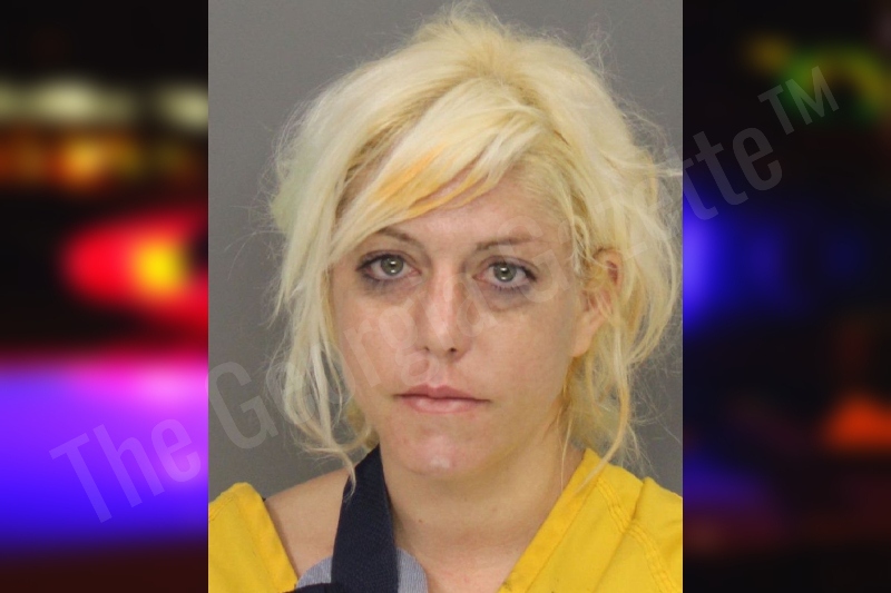 Ashlee Thayer — Cobb County Jail Bookings