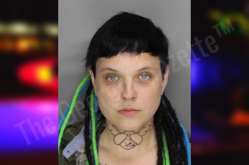 Megan Thum — Cobb County Jail Bookings