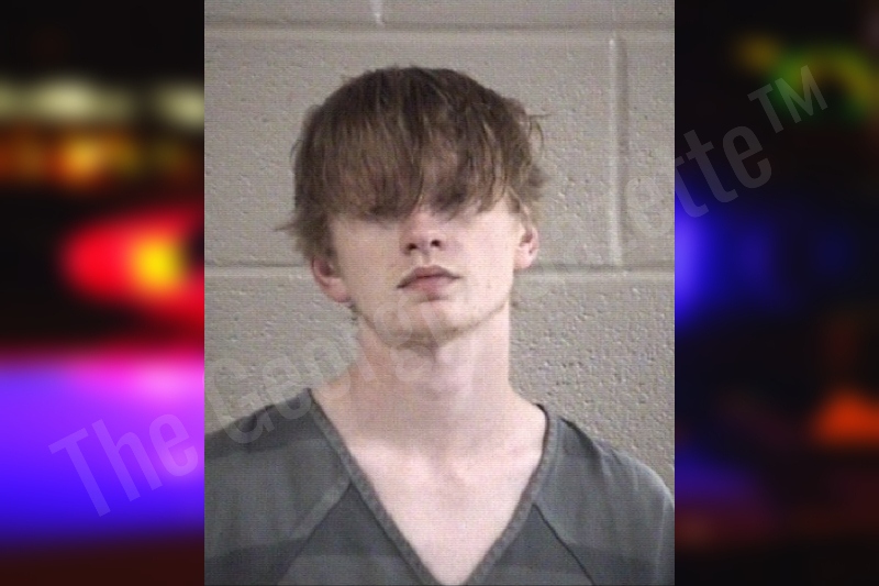 Harley Taylor — Whitfield County Jail Bookings
