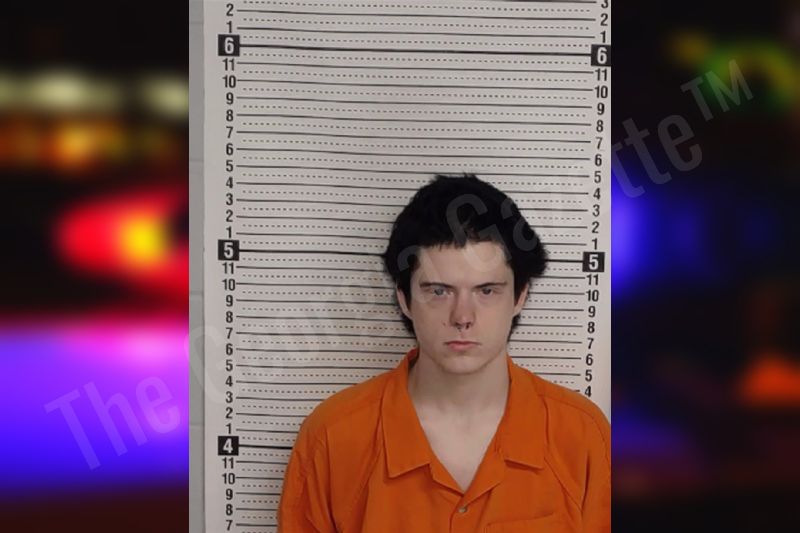 Justin Thedy — Rockdale County Jail Bookings