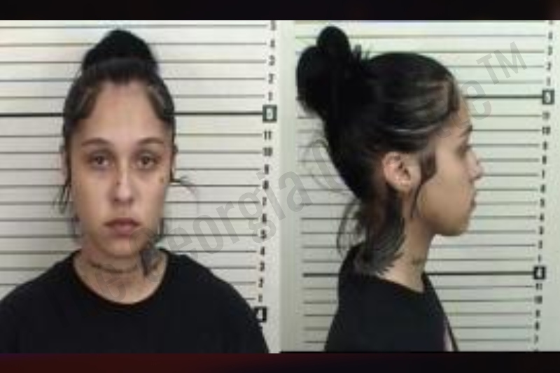 Arianna Tirado-Bieneman — Camden County Jail Bookings