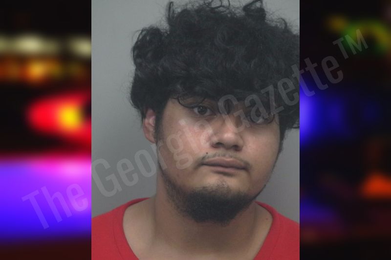 Alexis Valenzuela — Gwinnett County Jail Bookings