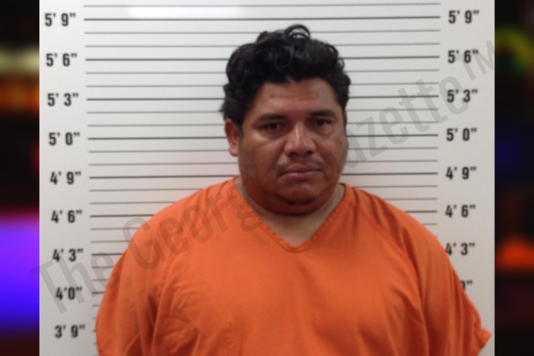 Denis Vasquez-Ortega — Pickens County Jail Bookings
