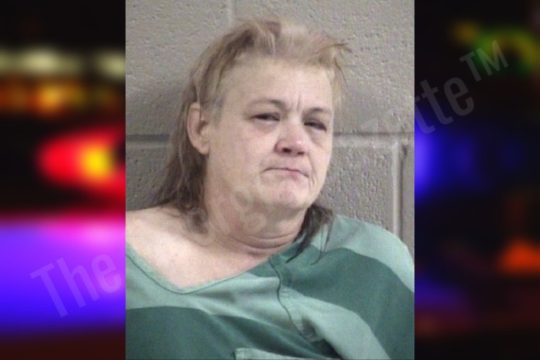 Angel Vaughn — Whitfield County Jail Bookings