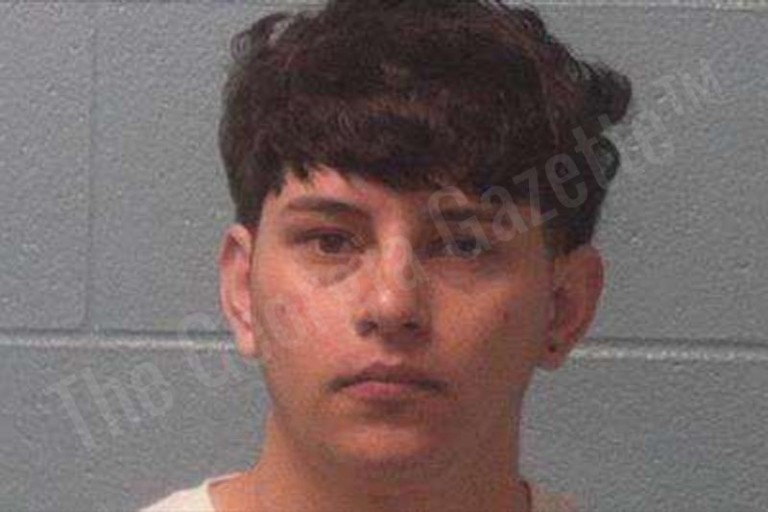 Franklin County Jail Bookings – Page 4 – The Georgia Gazette