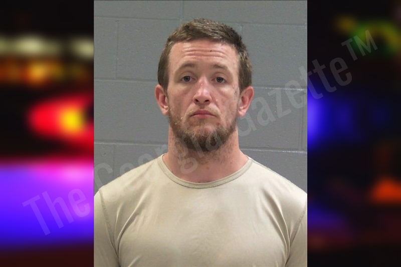 Christopher Wiggins — Baldwin County Jail Bookings