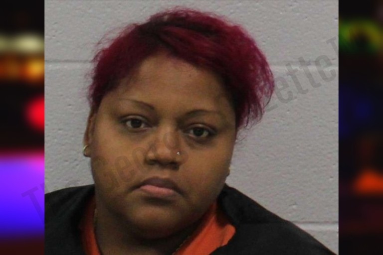 Alma Williams — Carroll County Jail Bookings