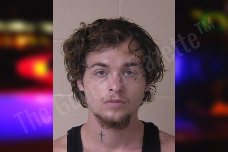 Jace Waddle — Walker County Jail Bookings