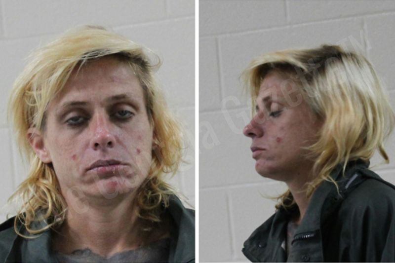 Emily Warner — Houston County Jail Bookings