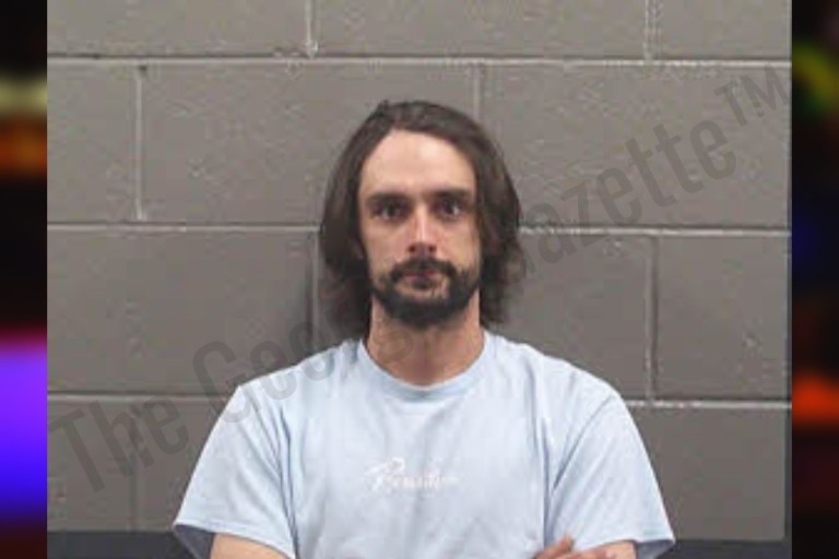 Cameron Watkins — Banks County Jail Bookings