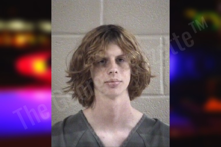 Michael Weaver — Whitfield County Jail Bookings