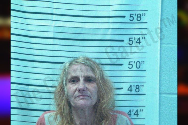 Ruthie Webb — Stephens County Jail Bookings