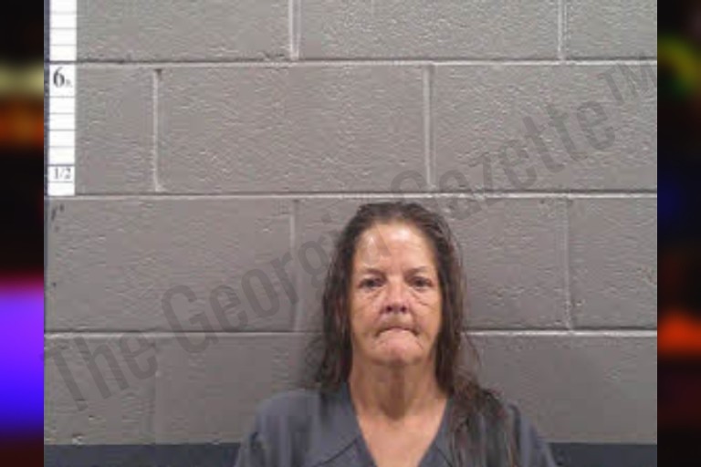 Banks County Jail Bookings – Page 9 – The Georgia Gazette