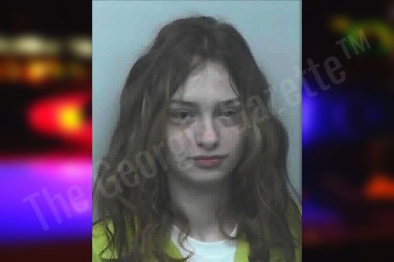 Katie Williams — Lanier County Jail Bookings