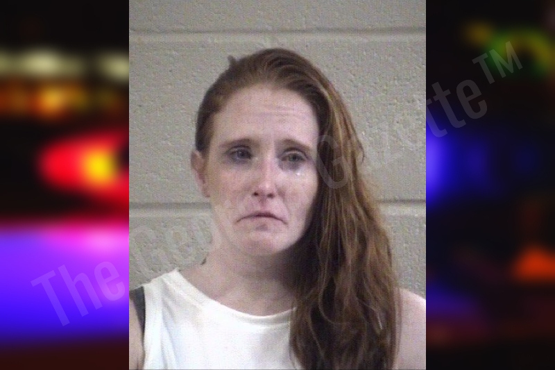 Katie Williams — Whitfield County Jail Bookings