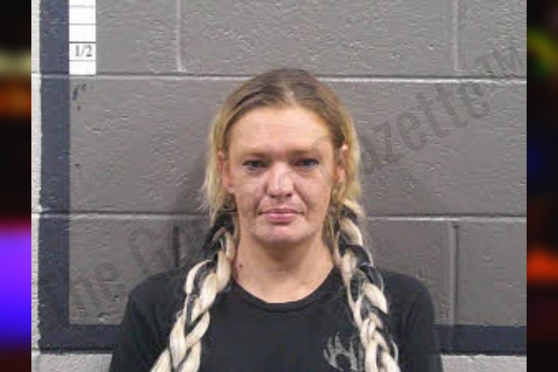 Brandy Wilson — Banks County Jail Bookings