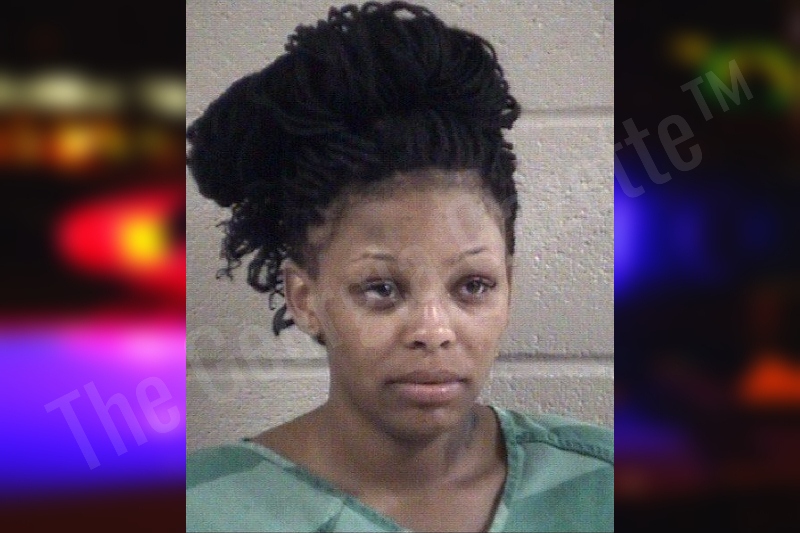 Danielle Wyche — Whitfield County Jail Bookings