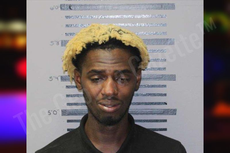 Demario Wyche — Thomas County Jail Bookings