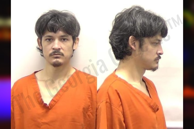 Clarke County Jail Bookings – Page 8 – The Georgia Gazette