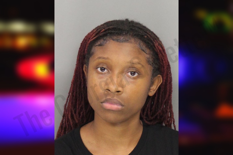 Saje Alston — Cobb County Jail Bookings