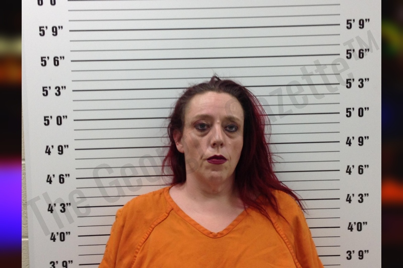 Amanda Adams — Pickens County Jail Bookings
