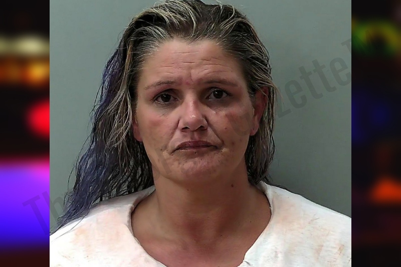 Anna Adams — Towns County Jail Bookings