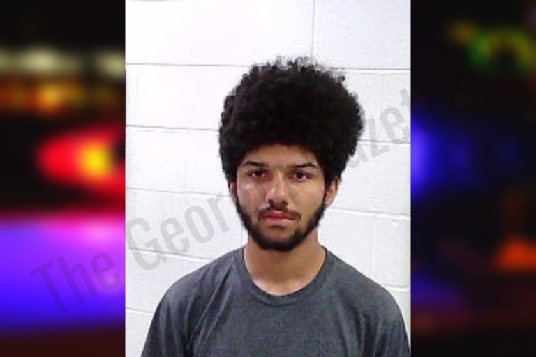 Fulton County Jail Bookings – The Georgia Gazette