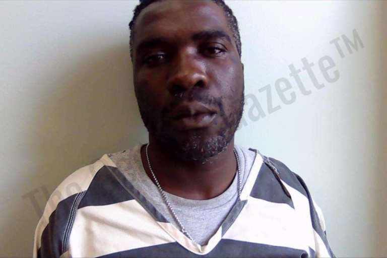 Luc Alexandre — Evans County Jail Bookings