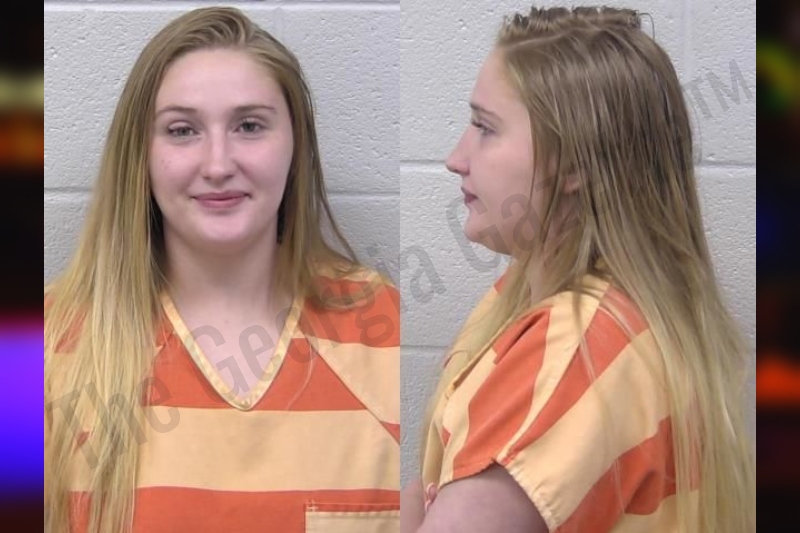 Madison Ayers — Paulding County Jail Bookings