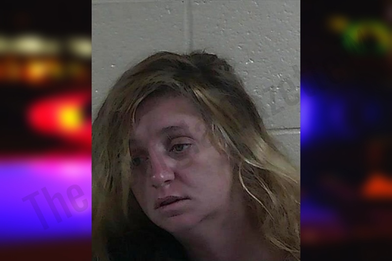 Jessica Barnes — Fannin County Jail Bookings