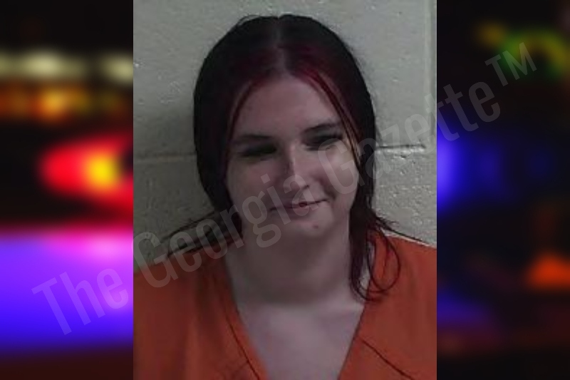 Jenessa Baughman — Fannin County Jail Bookings