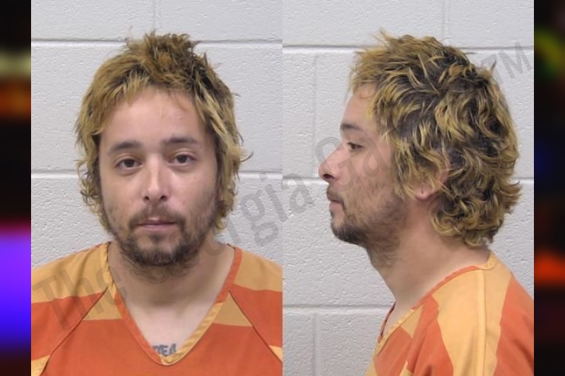 Thomas Beckwith — Paulding County Jail Bookings