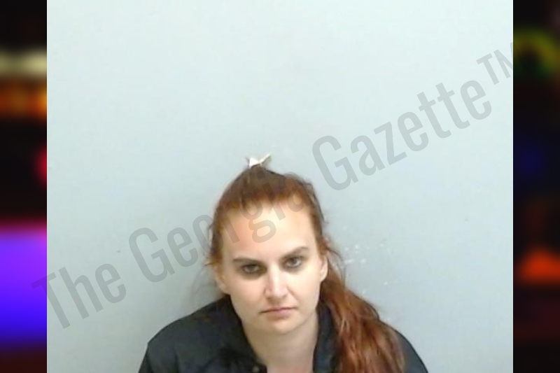 Lisa Belew — Fulton County Jail Bookings