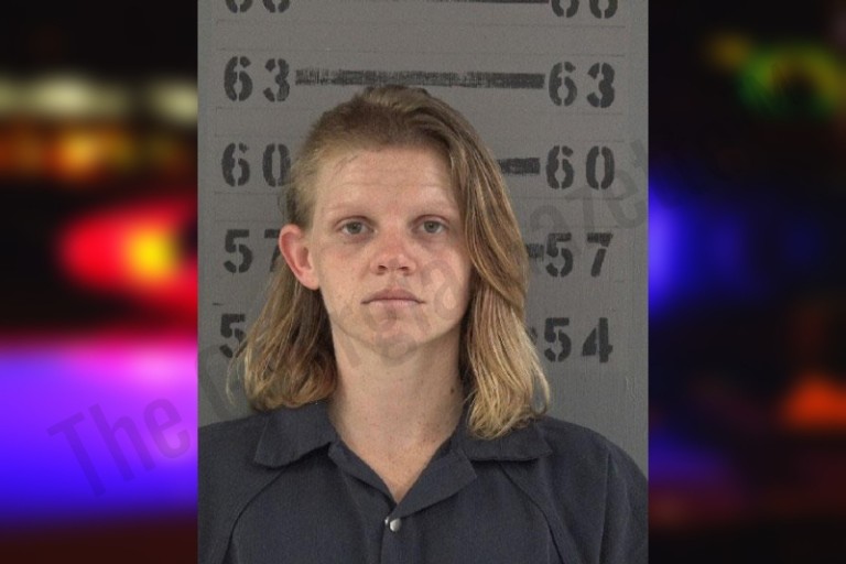 Jonna Bradshaw — Dougherty County Jail Bookings