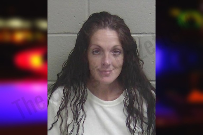 Amy Brannen — Wayne County Jail Bookings