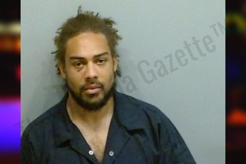 Bryson Brindle — Fulton County Jail Bookings