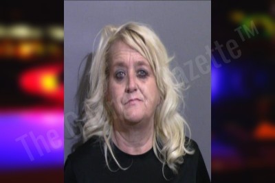 Debbie Britt — Glynn County Jail Bookings