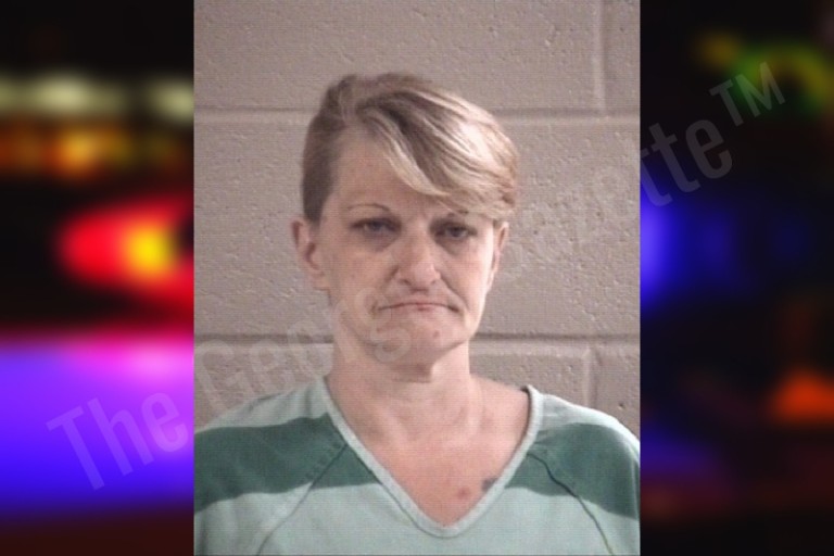 Jessica Brooks — Whitfield County Jail Bookings