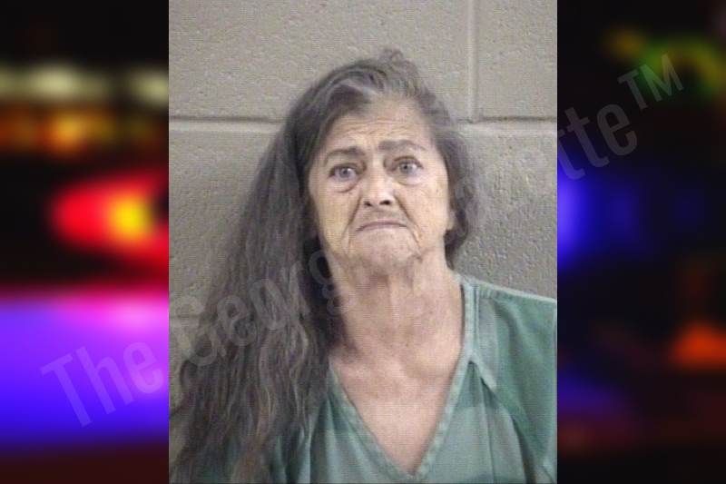 Patsy Bryson — Whitfield County Jail Bookings