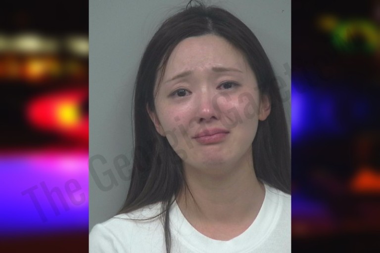 Ara Cho — Gwinnett County Jail Bookings