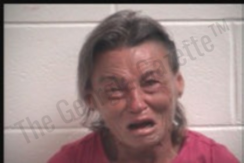 Jamie Clark — Henry County Jail Bookings