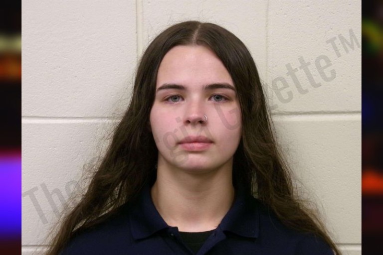 Madyson Chalmers — Bulloch County Jail Bookings