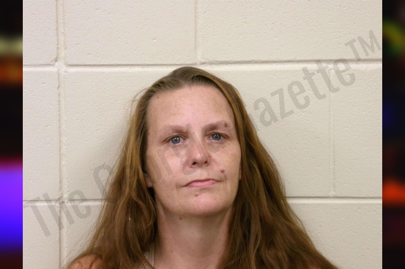 Wendy Chambers — Bulloch County Jail Bookings