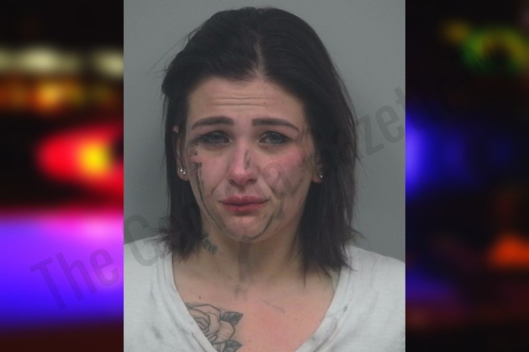 Jamie Chavez — Gwinnett County Jail Bookings