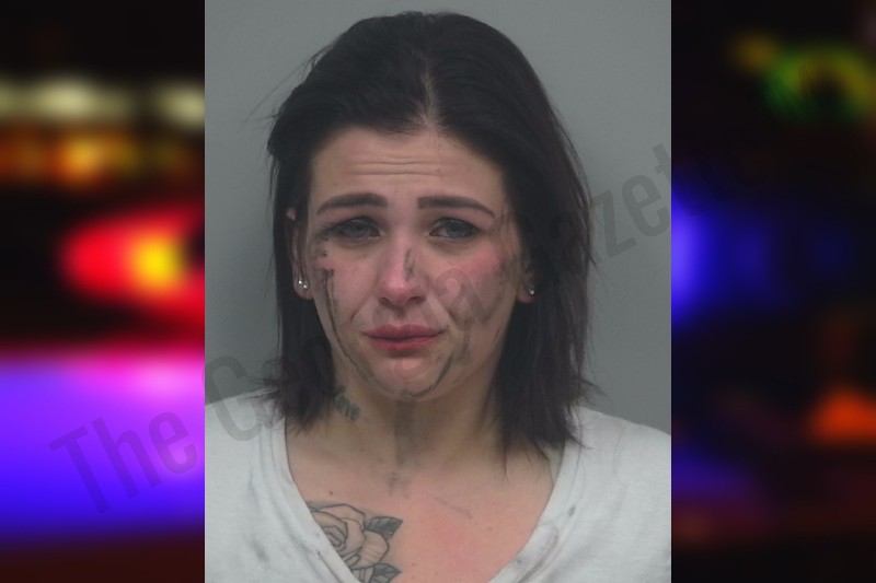 Jamie Chavez — Gwinnett County Jail Bookings