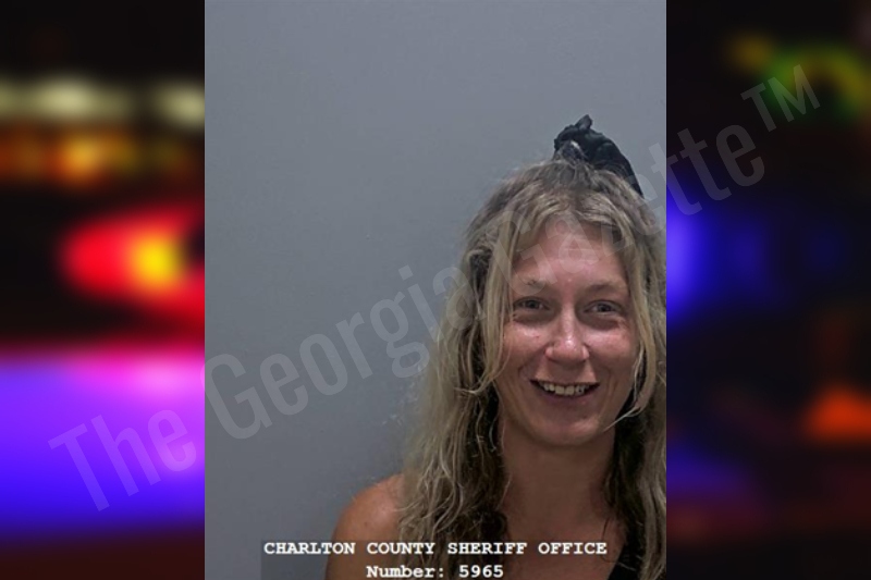 Cierra Cheek — Charlton County Jail Bookings