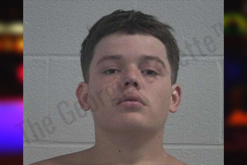 Brandon Clark — McDuffie County Jail Bookings