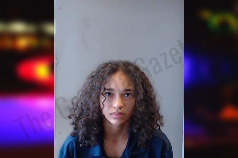 Ashley Colon — DeKalb County Jail Bookings