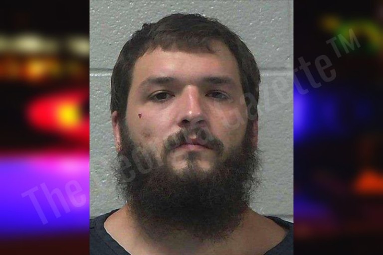 Stephen Colwell — Gilmer County Jail Bookings